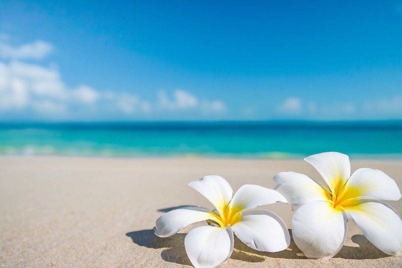 Beach With Flowers Wallpapers - Wallpaper Cave