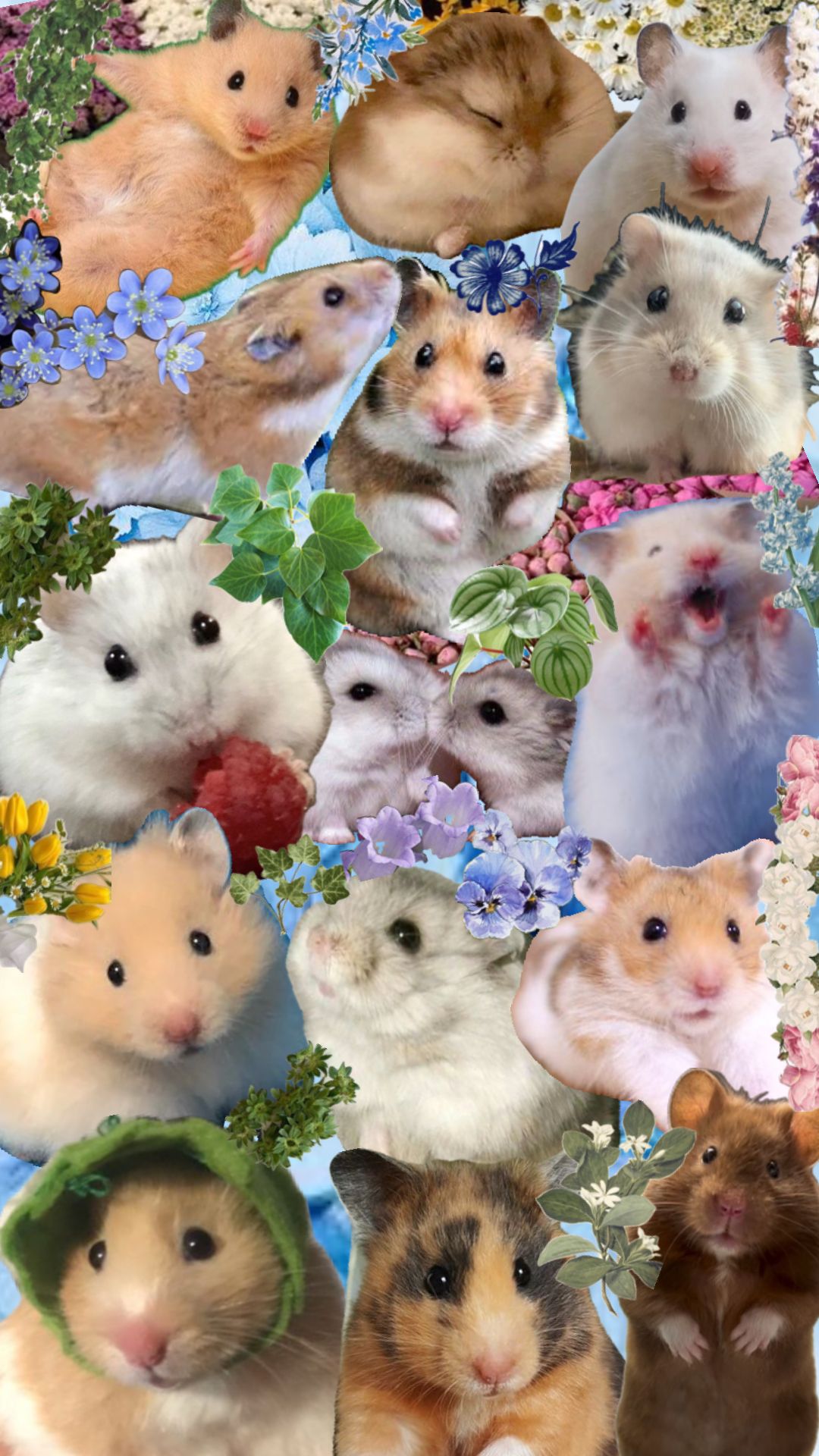 Hamster Wallpapers - Wallpaper Cave
