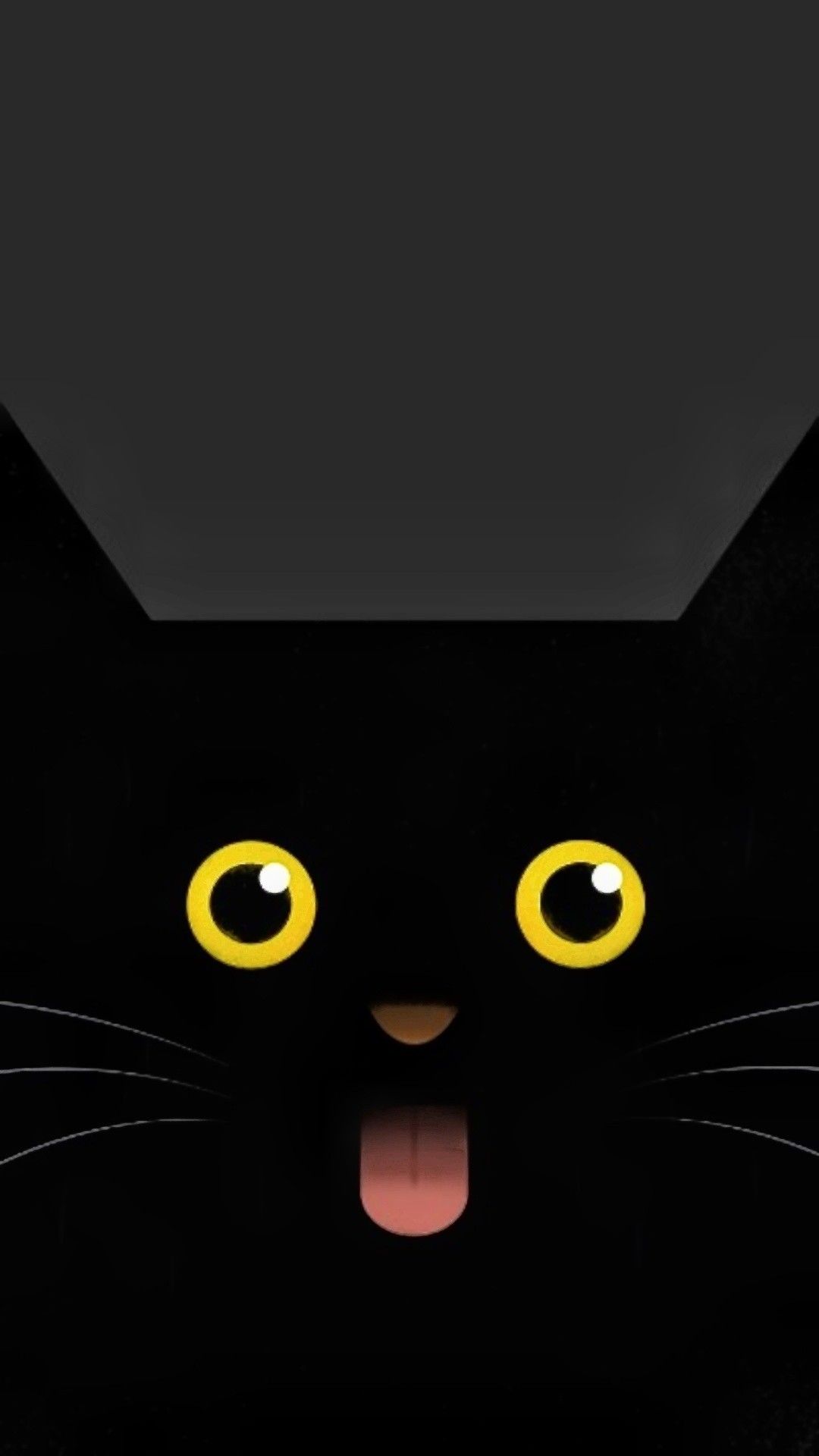 8k Cat Android Wallpapers - Wallpaper Cave
