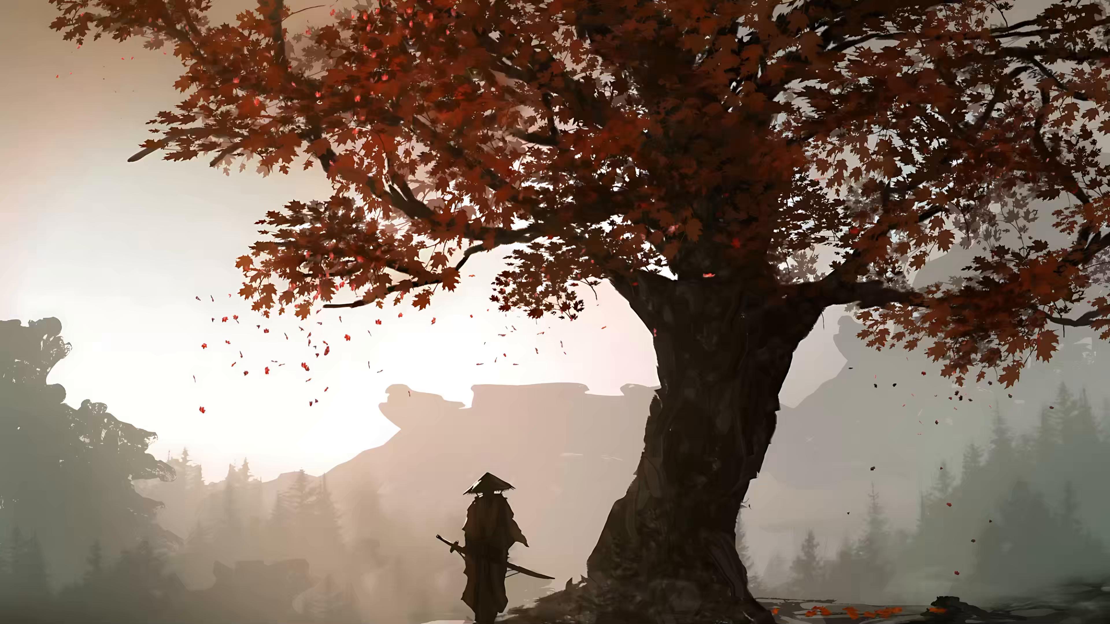 4k Samurai PC Wallpapers - Wallpaper Cave