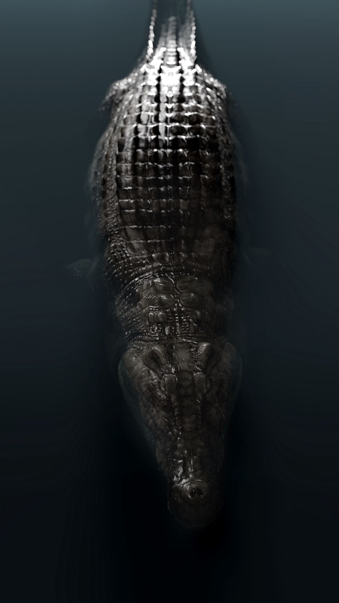 Caiman Wallpapers - Wallpaper Cave