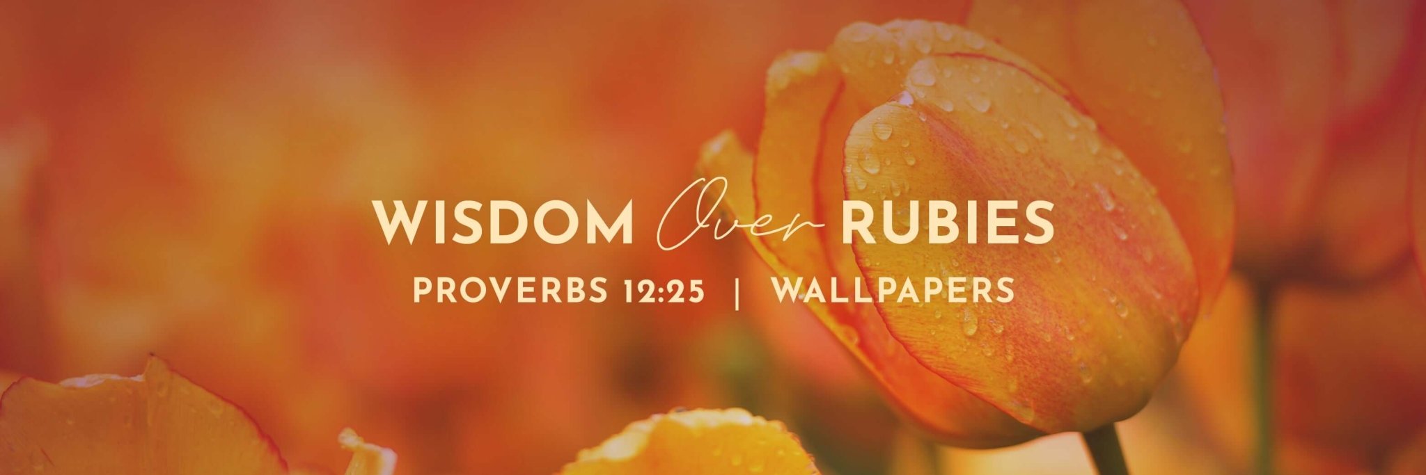 Proverbs Wallpapers - Wallpaper Cave