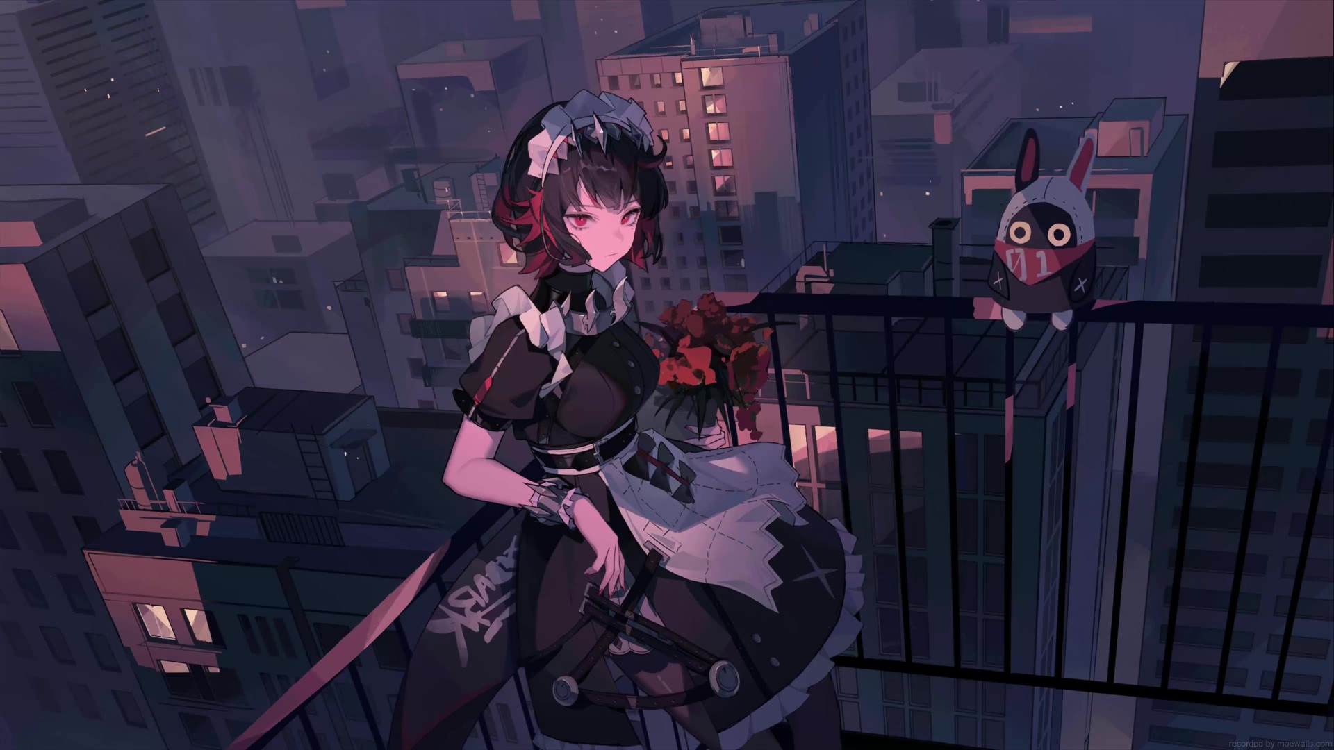 Ellen Joe Wallpapers - Wallpaper Cave