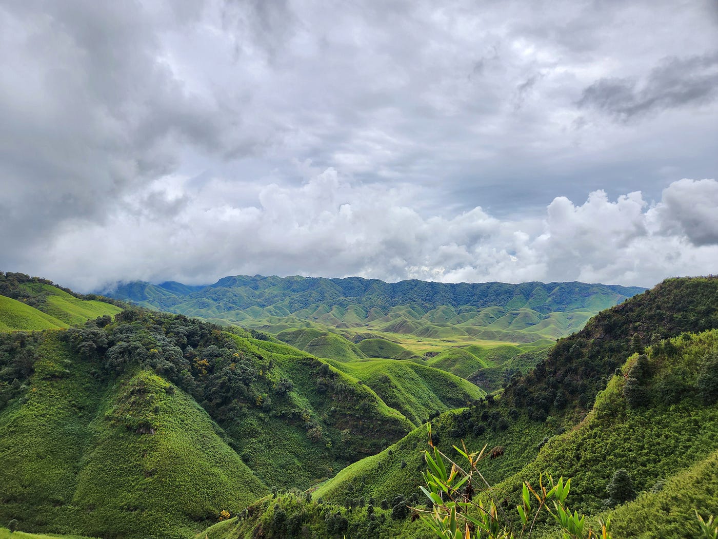 Dzukou Valley Wallpapers - Wallpaper Cave