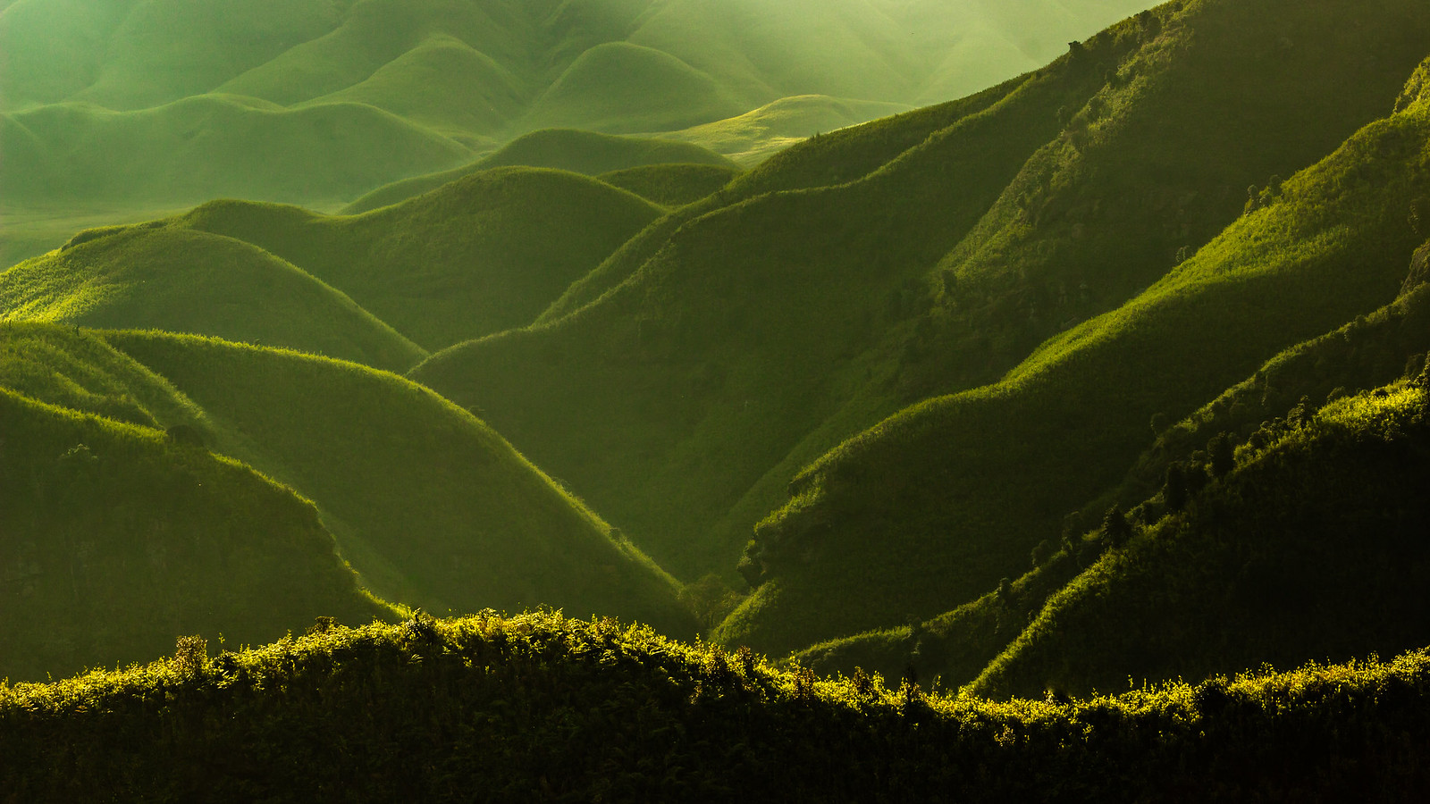 Dzukou Valley Wallpapers - Wallpaper Cave