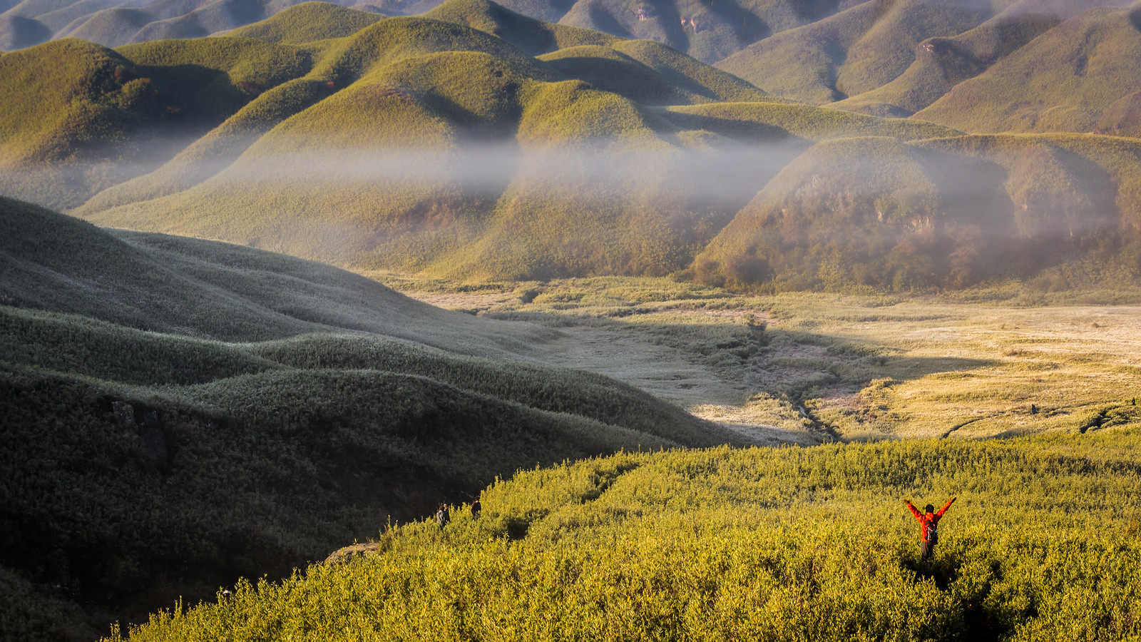 Dzukou Valley Wallpapers - Wallpaper Cave