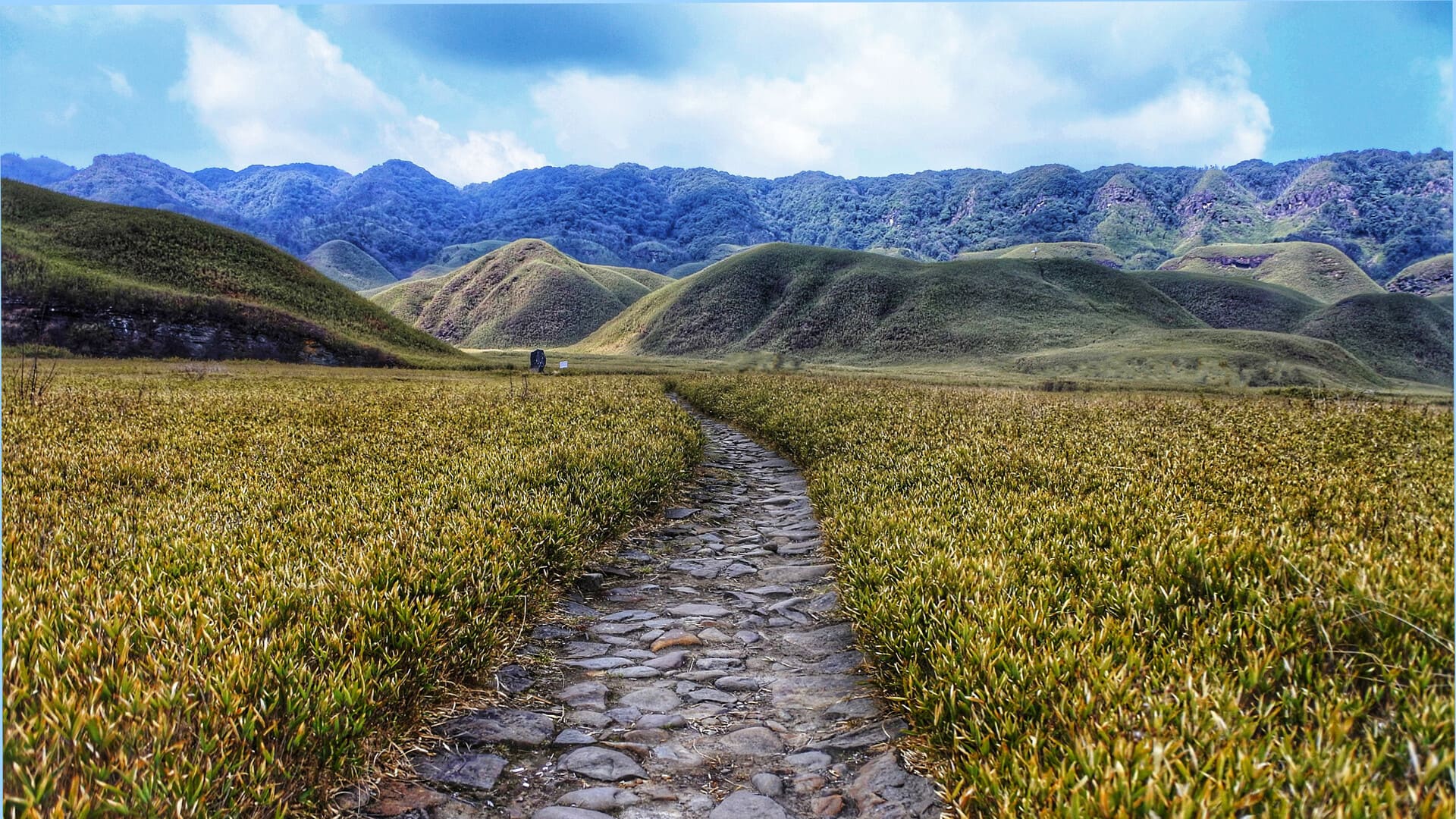 Dzukou Valley Wallpapers - Wallpaper Cave