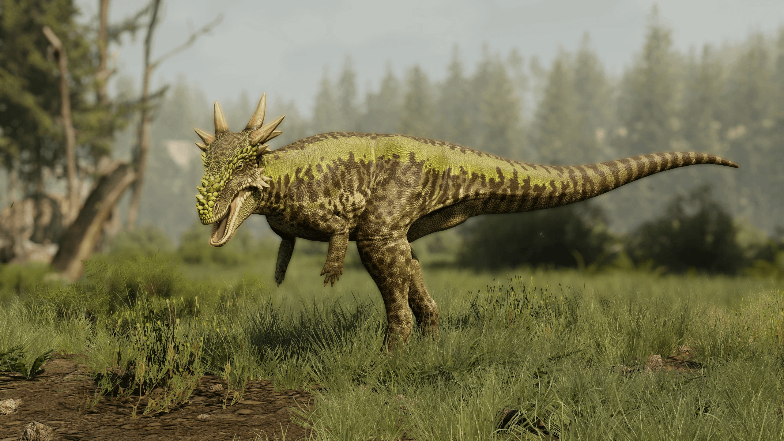 Pachycephalosaurus Wallpapers - Wallpaper Cave