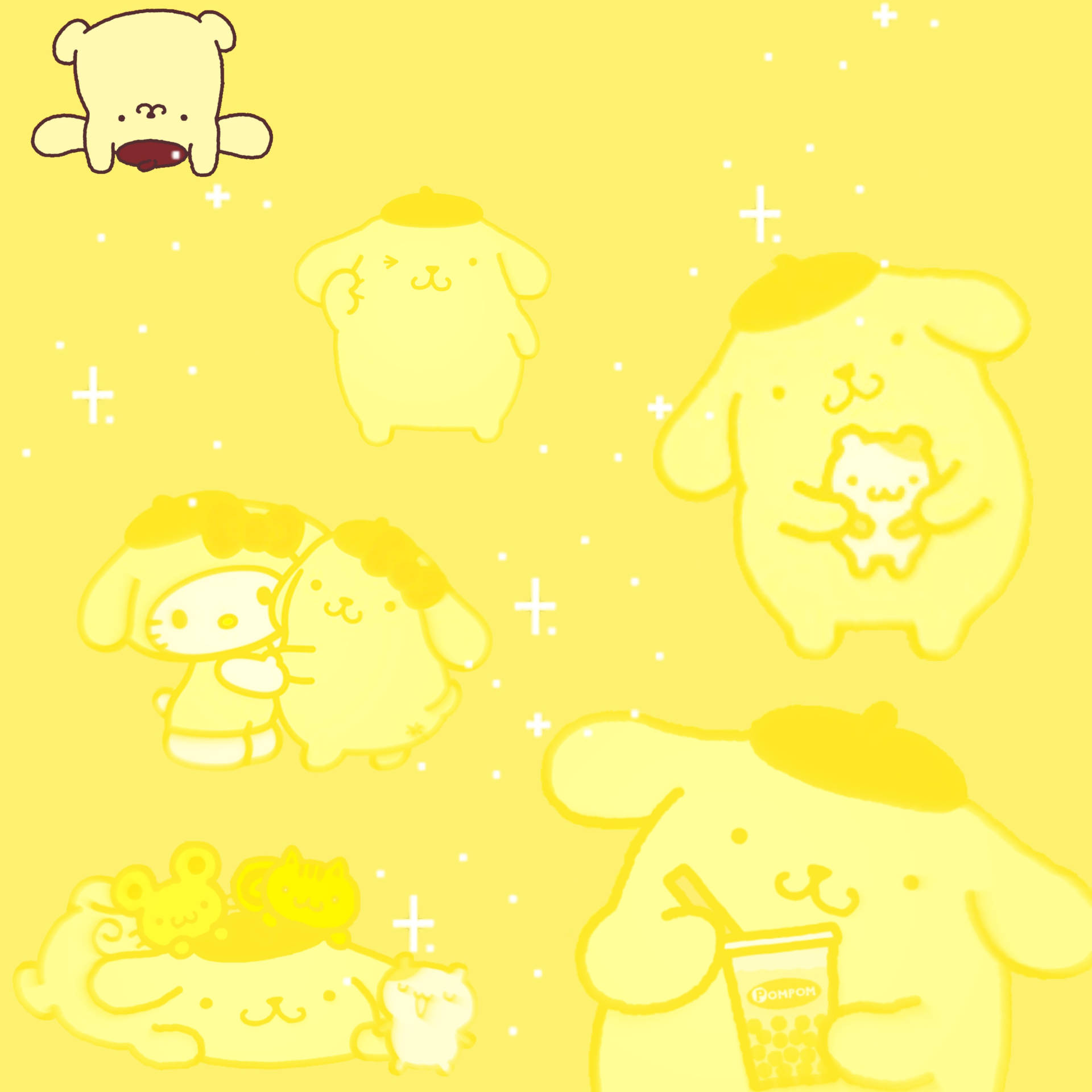 Sanrio Pompompurin Wallpapers - Wallpaper Cave
