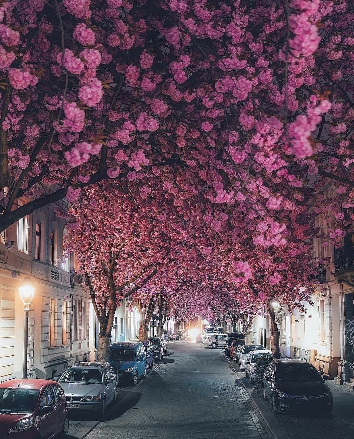 Bonn Germany Wallpapers - Wallpaper Cave