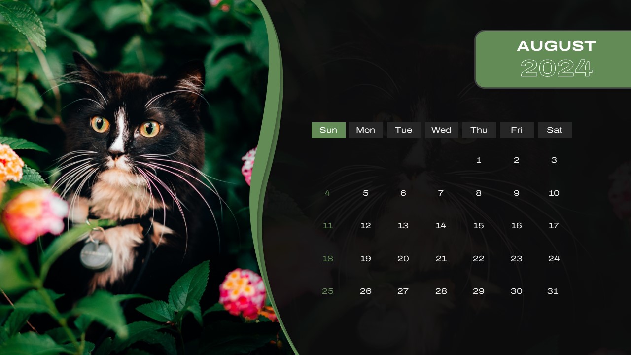 August 2024 Calendar Wallpapers - Wallpaper Cave