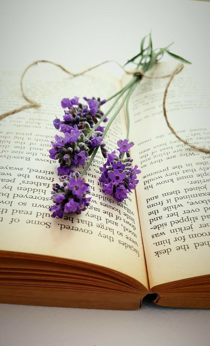 Purple Book Wallpapers - Wallpaper Cave