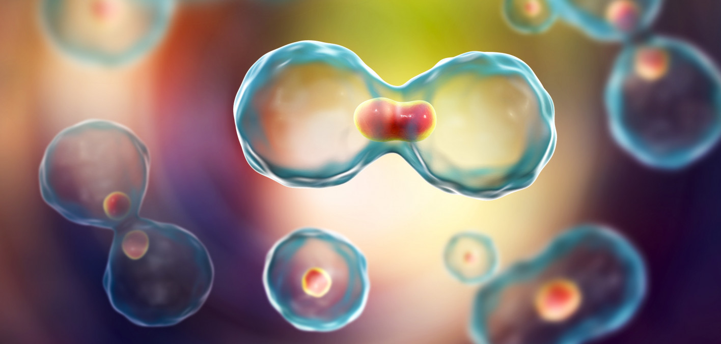 Preview Wallpaper Cells Background