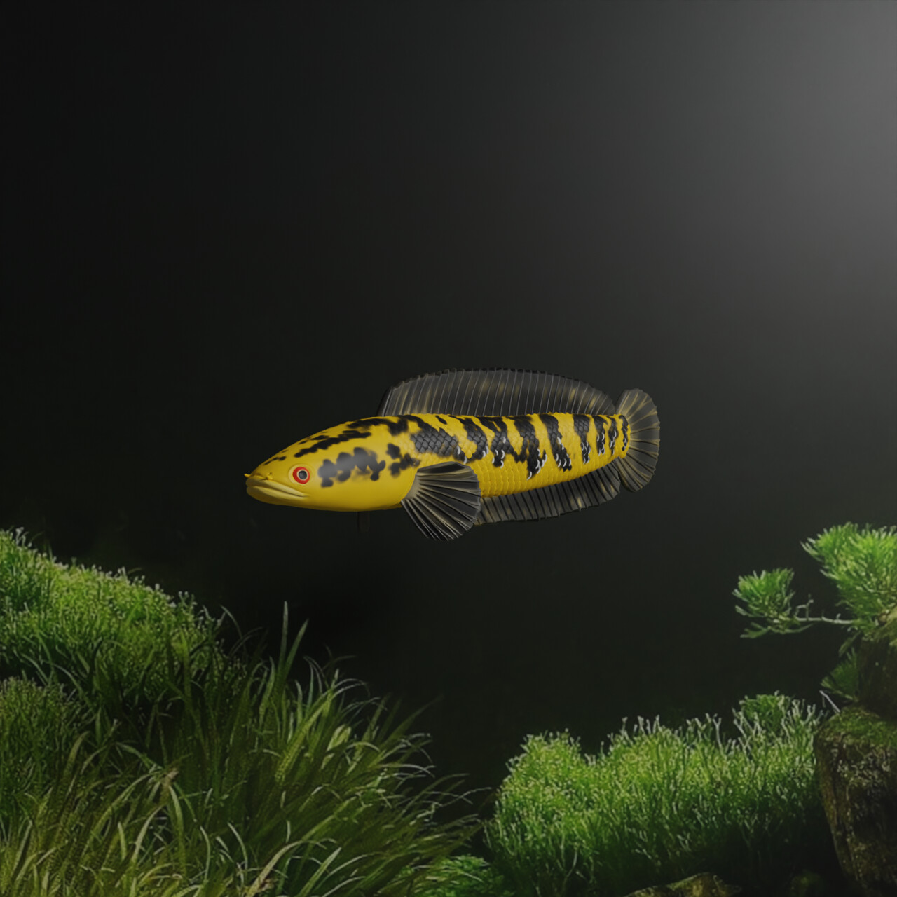 Snakehead Fish Wallpapers - Wallpaper Cave
