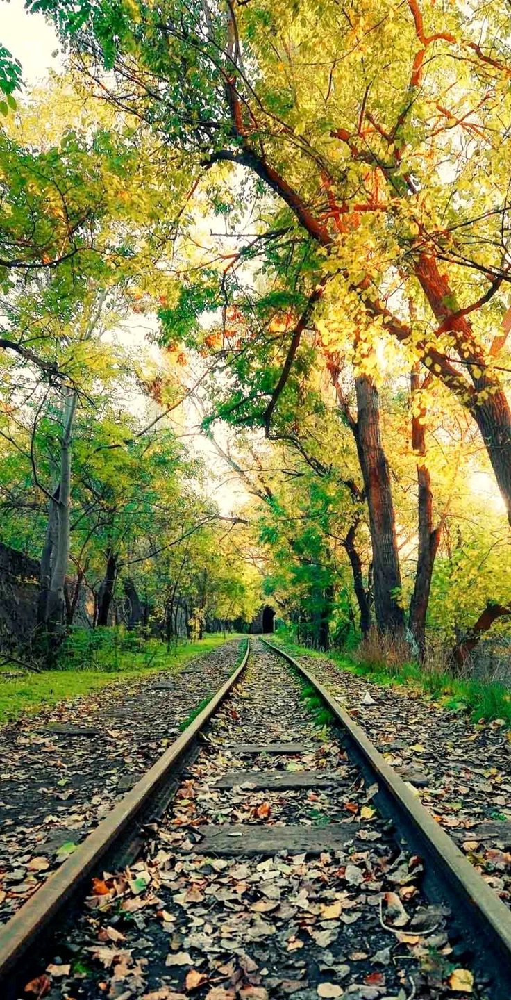 Old Nature Wallpapers - Wallpaper Cave