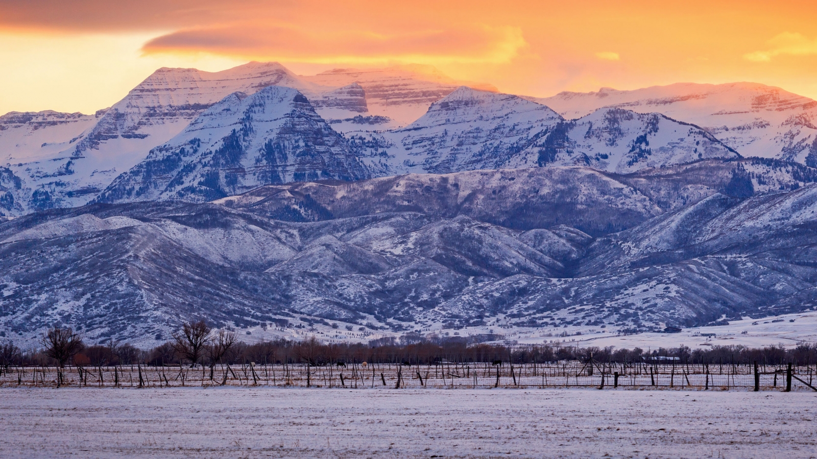 Wasatch Wallpapers - Wallpaper Cave