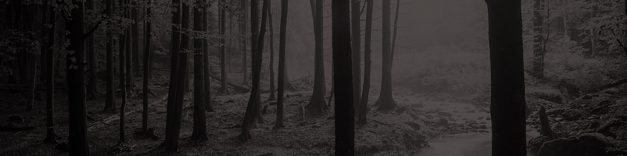 2000x500 Wallpapers - Wallpaper Cave