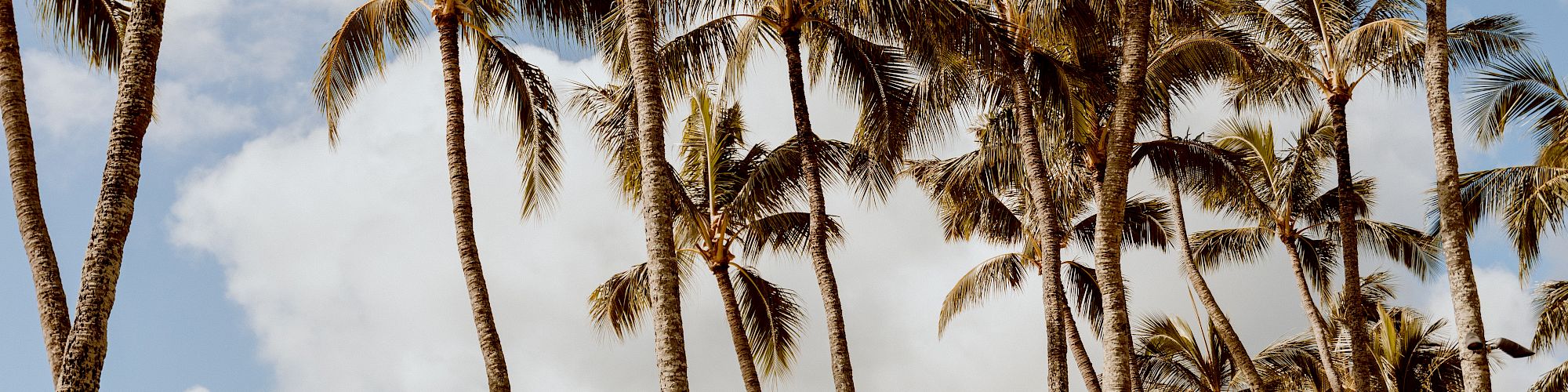 2000x500 Wallpapers - Wallpaper Cave