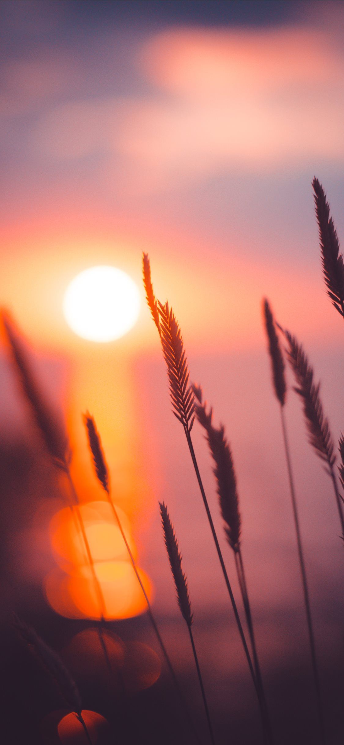 iPhone X Sunset Wallpapers - Wallpaper Cave