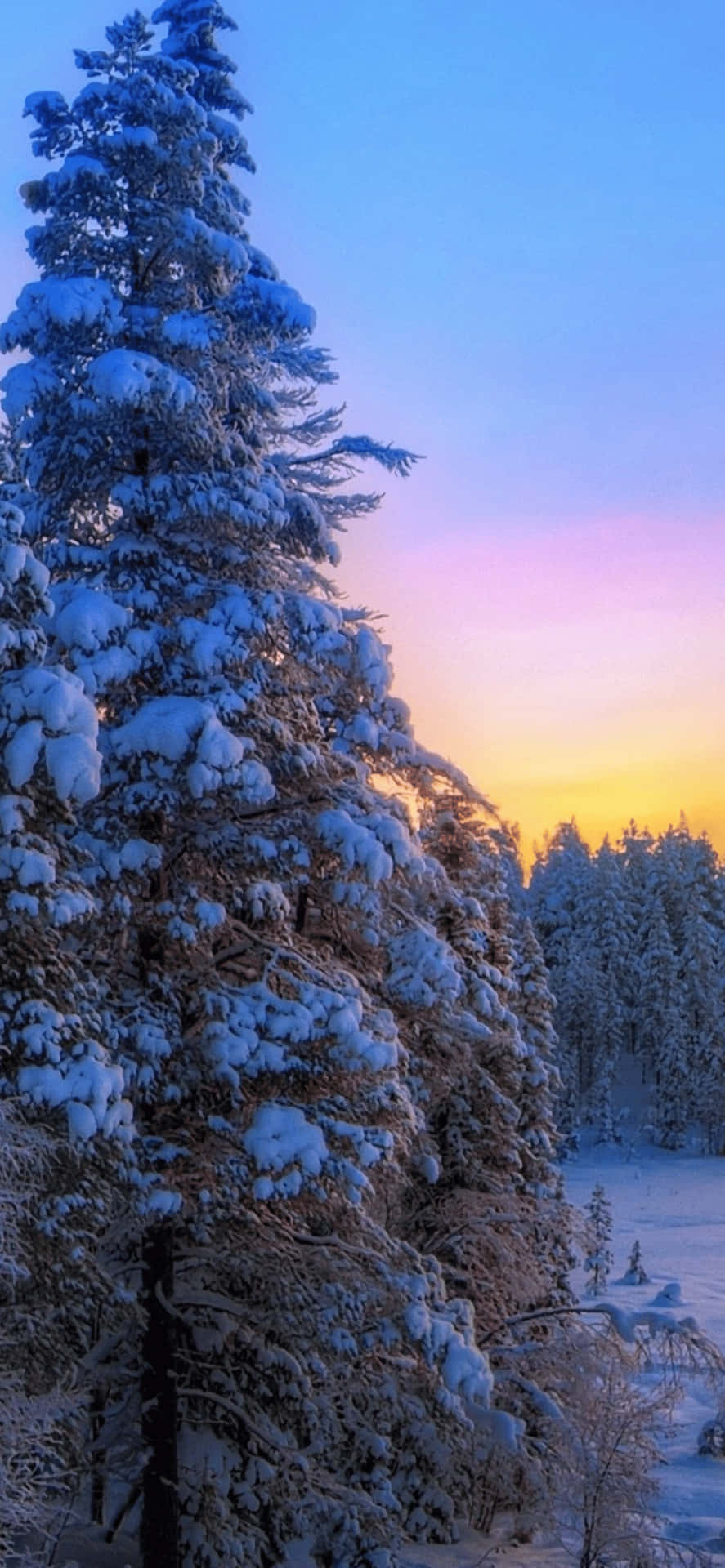 Snow iPhone X Wallpapers - Wallpaper Cave