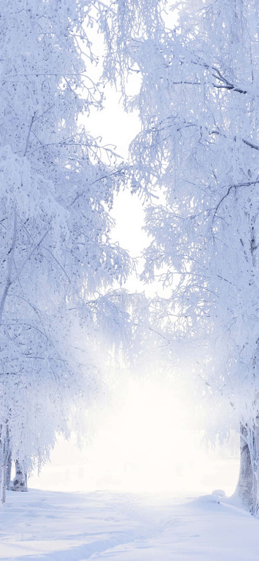 Snow iPhone X Wallpapers - Wallpaper Cave