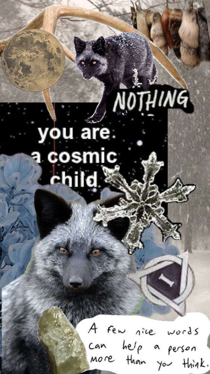 Therian PFP Wallpapers - Wallpaper Cave