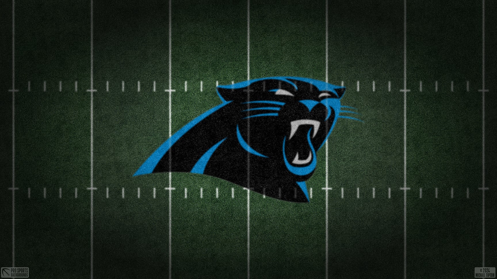 Carolina Panthers Logo Wallpapers - Wallpaper Cave