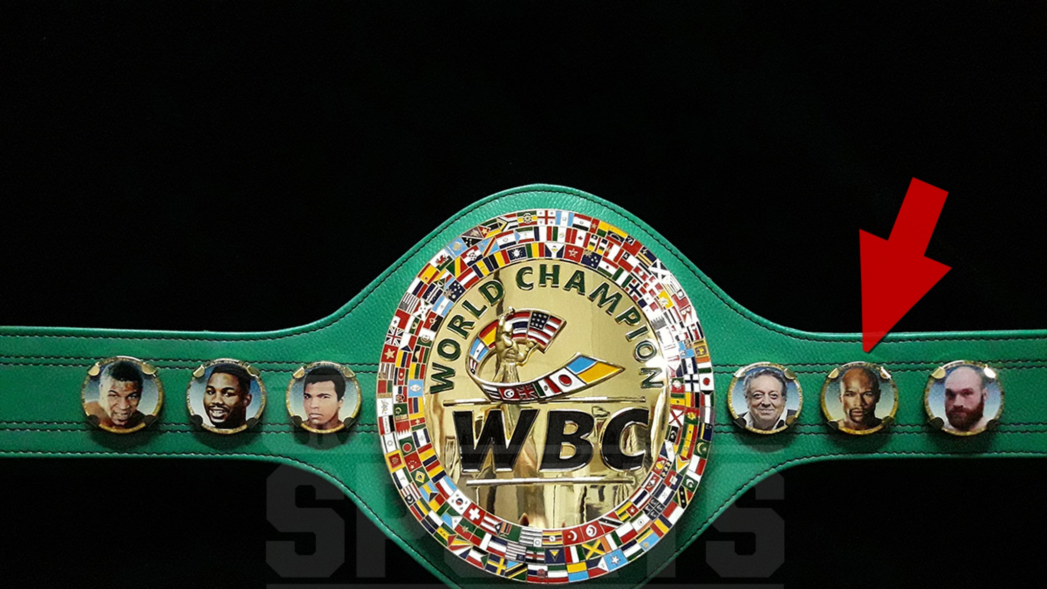 WBC Boxing Logo Wallpapers - Wallpaper Cave
