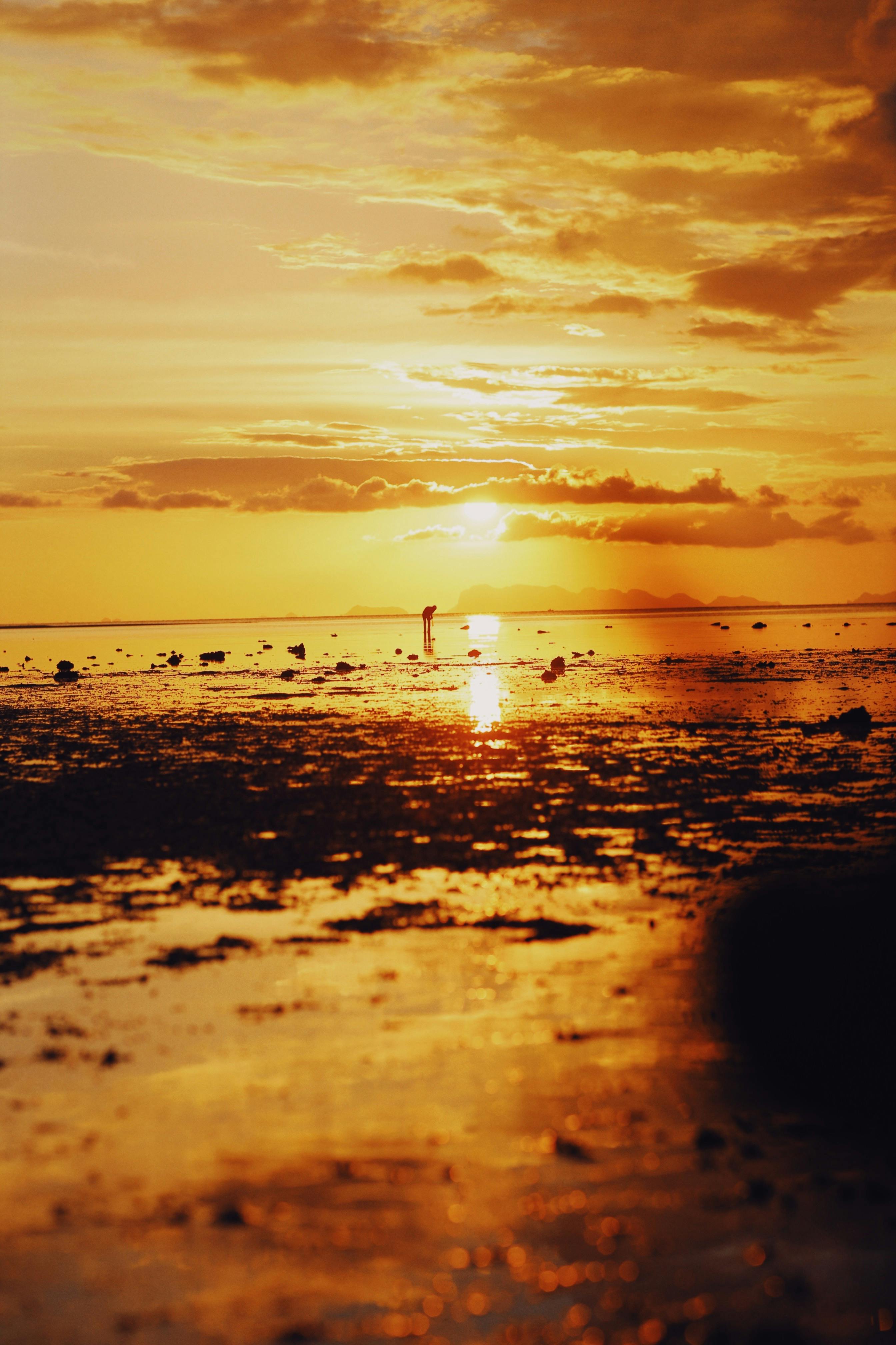 Majestic Sunset Wallpapers - Wallpaper Cave