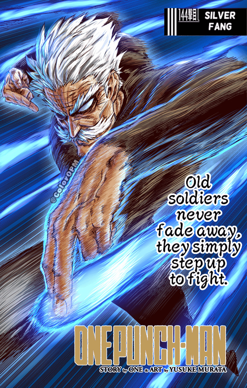 Silver Fang One Punch Man Wallpapers - Wallpaper Cave