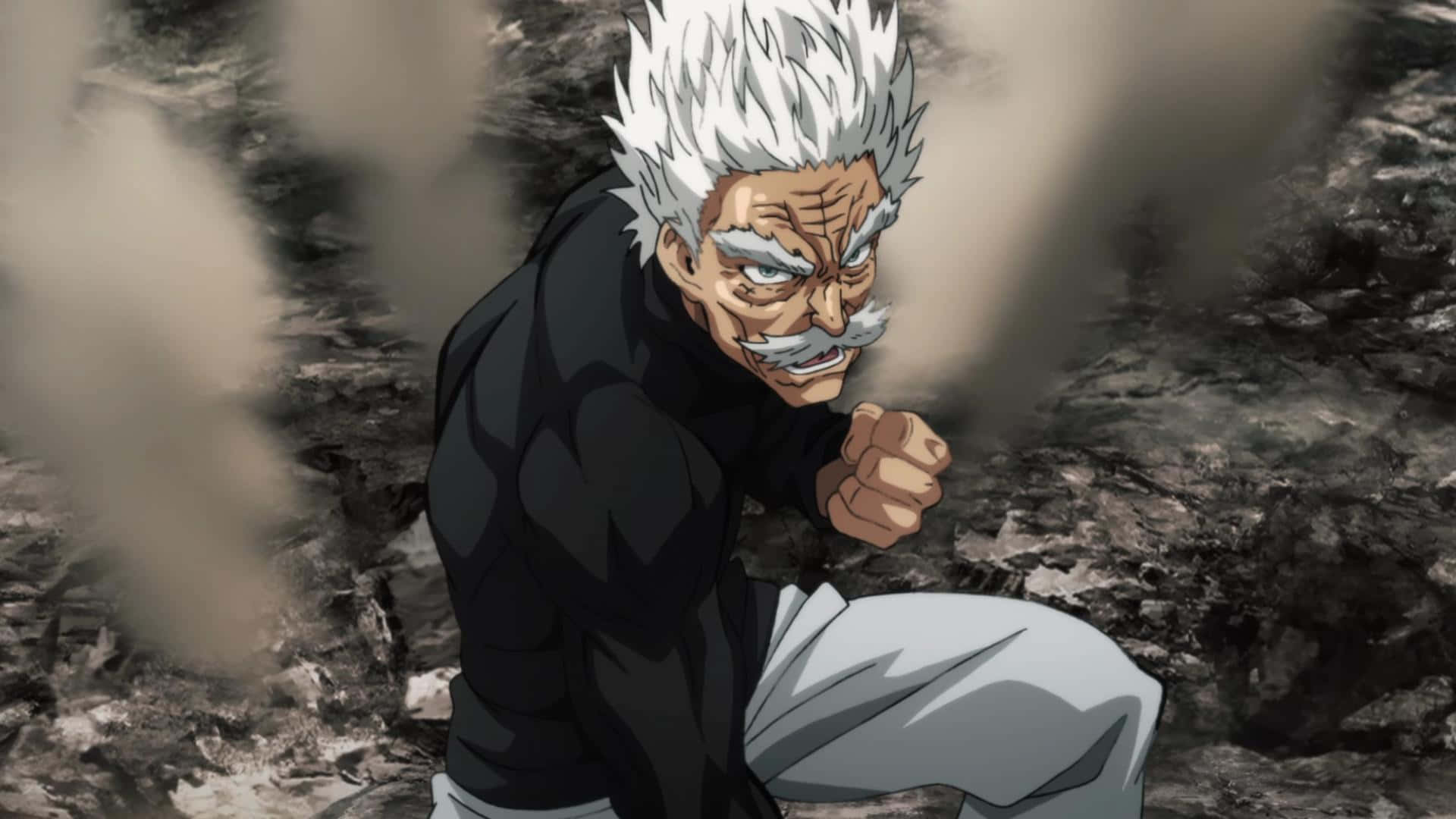 Silver Fang One Punch Man Wallpapers - Wallpaper Cave