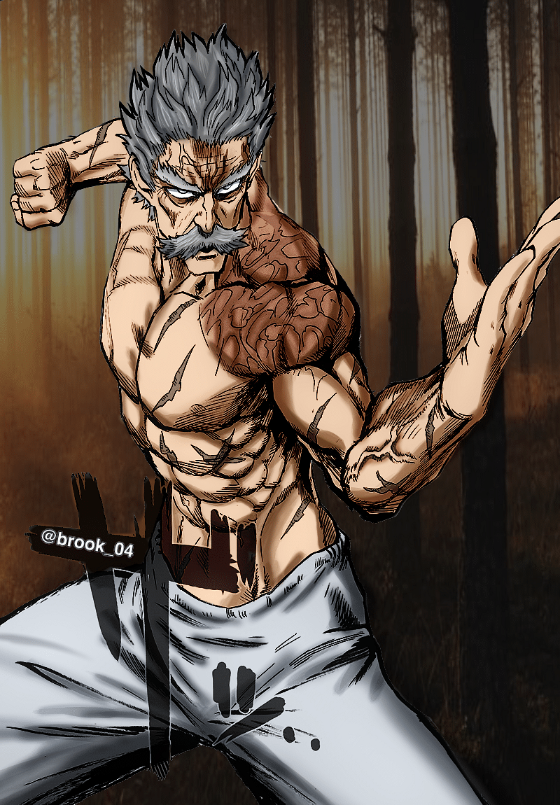 Silver Fang One Punch Man Wallpapers - Wallpaper Cave