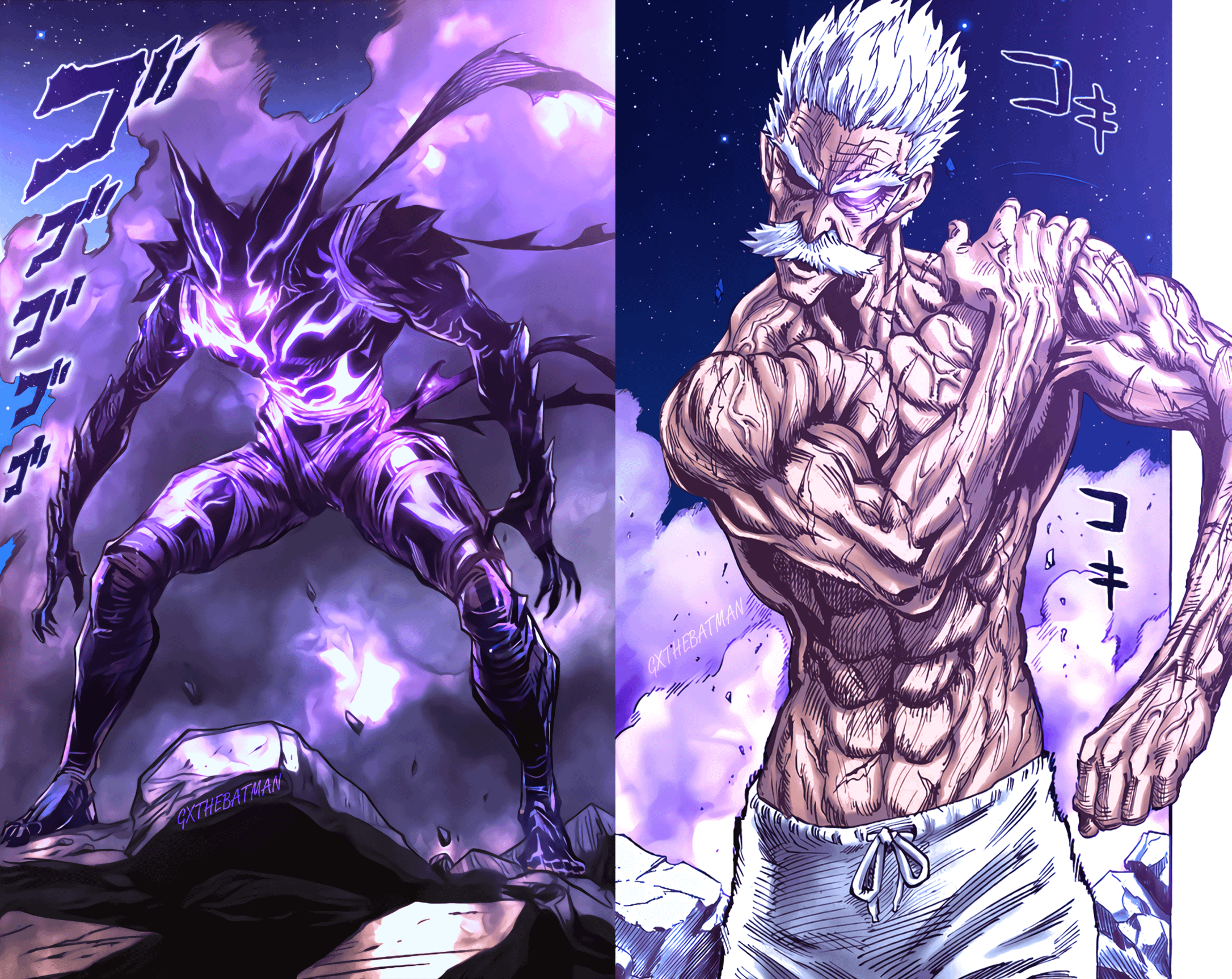 Silver Fang One Punch Man Wallpapers - Wallpaper Cave