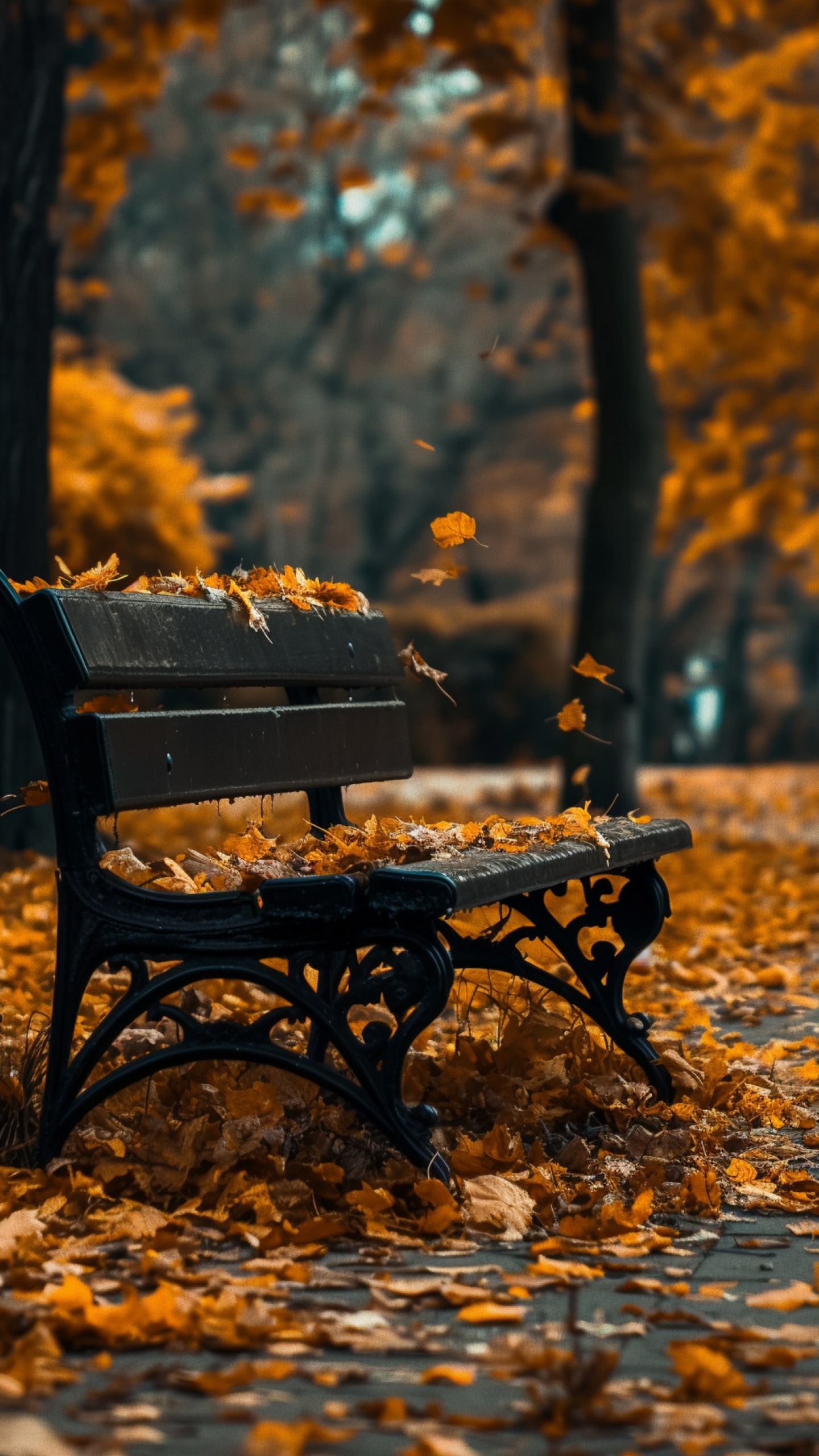 Autumn Vertical 4k Wallpapers - Wallpaper Cave