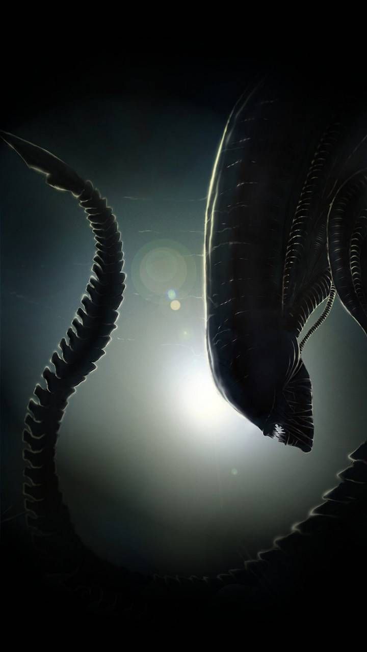 Xenomorph Wallpaper For Iphone Xenomorph, Alien, Xenomorfo, HD Phone