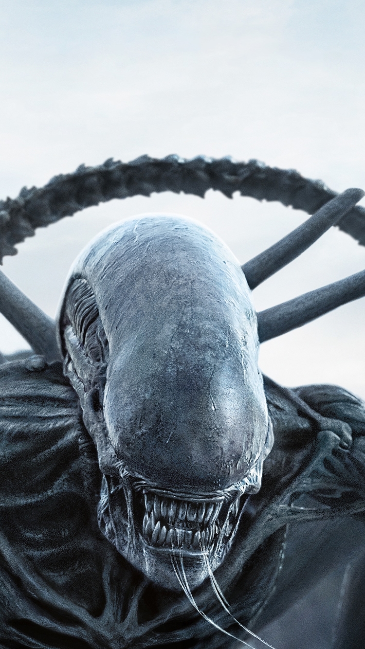 Xenomorph iPhone Wallpapers - Wallpaper Cave