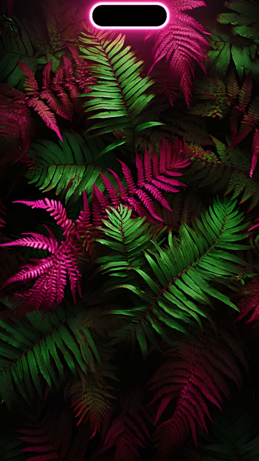 iPhone 15 Island Wallpapers - Wallpaper Cave