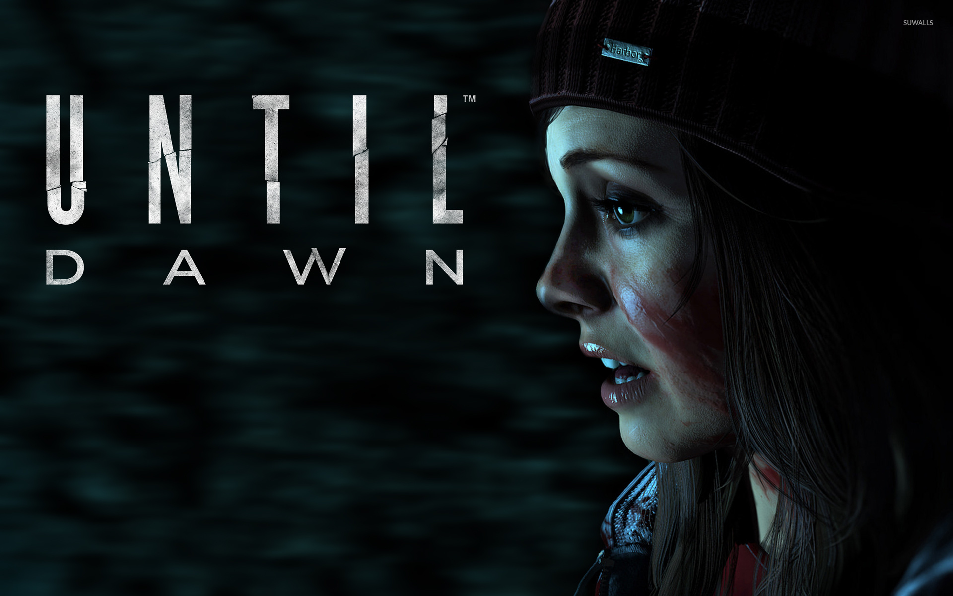 Until Dawn Desktop Wallpapers - Wallpaper Cave
