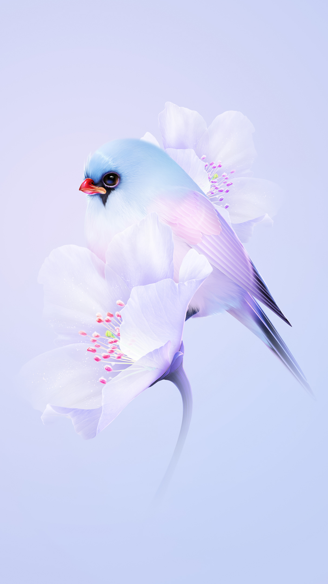 Bird Iphone Wallpapers Baltimore, Bullock's Orioles Will Retain