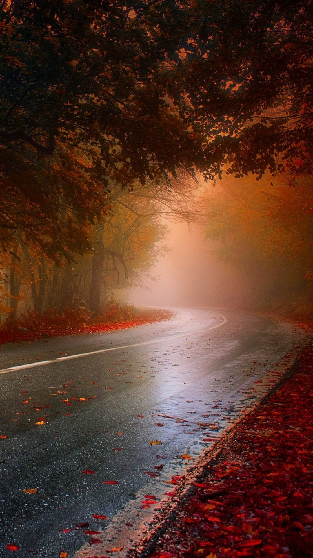 Rainy Weather Road iPhone Wallpapers - Wallpaper Cave