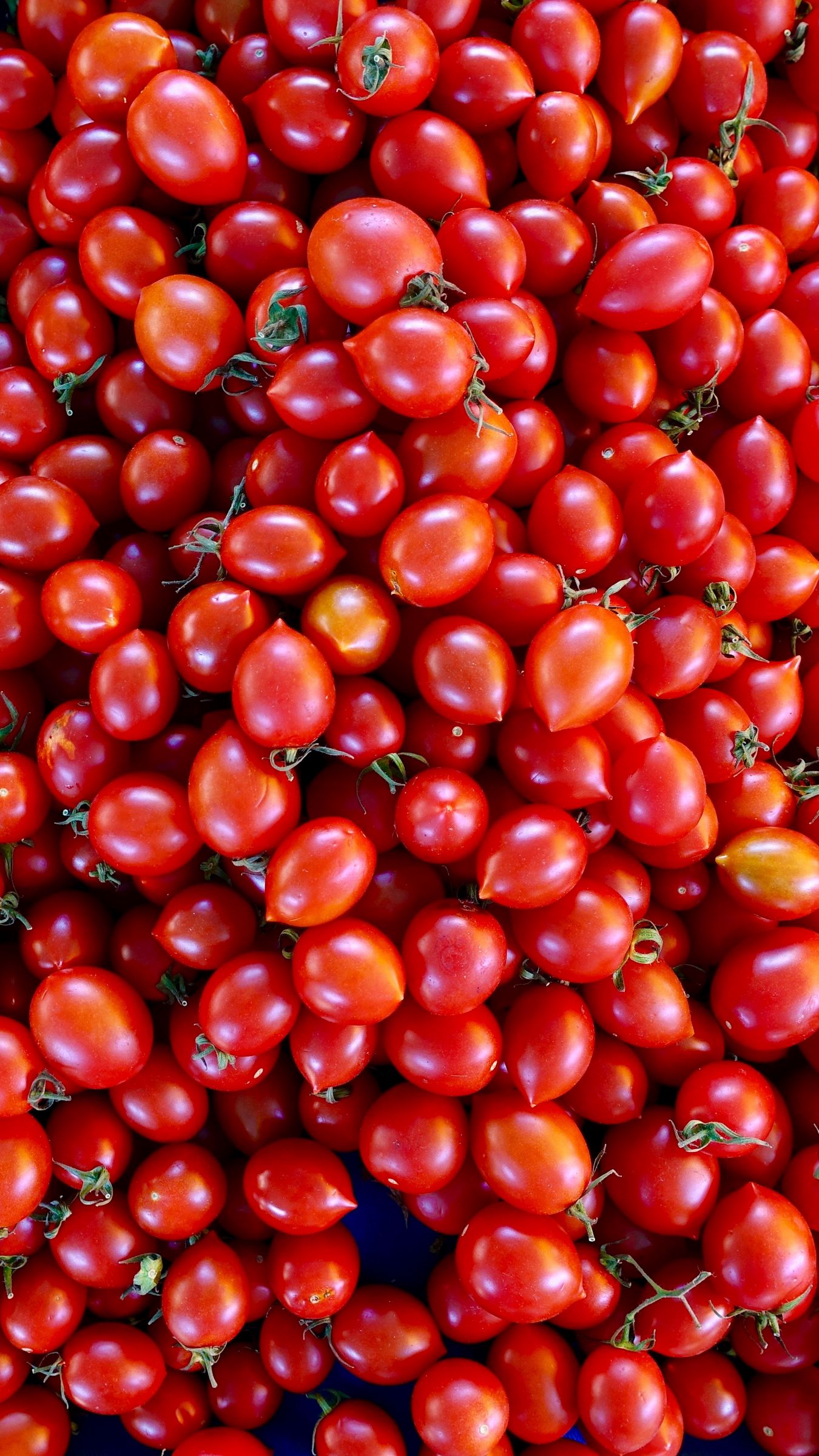 Vegetable iPhone Wallpapers - Wallpaper Cave