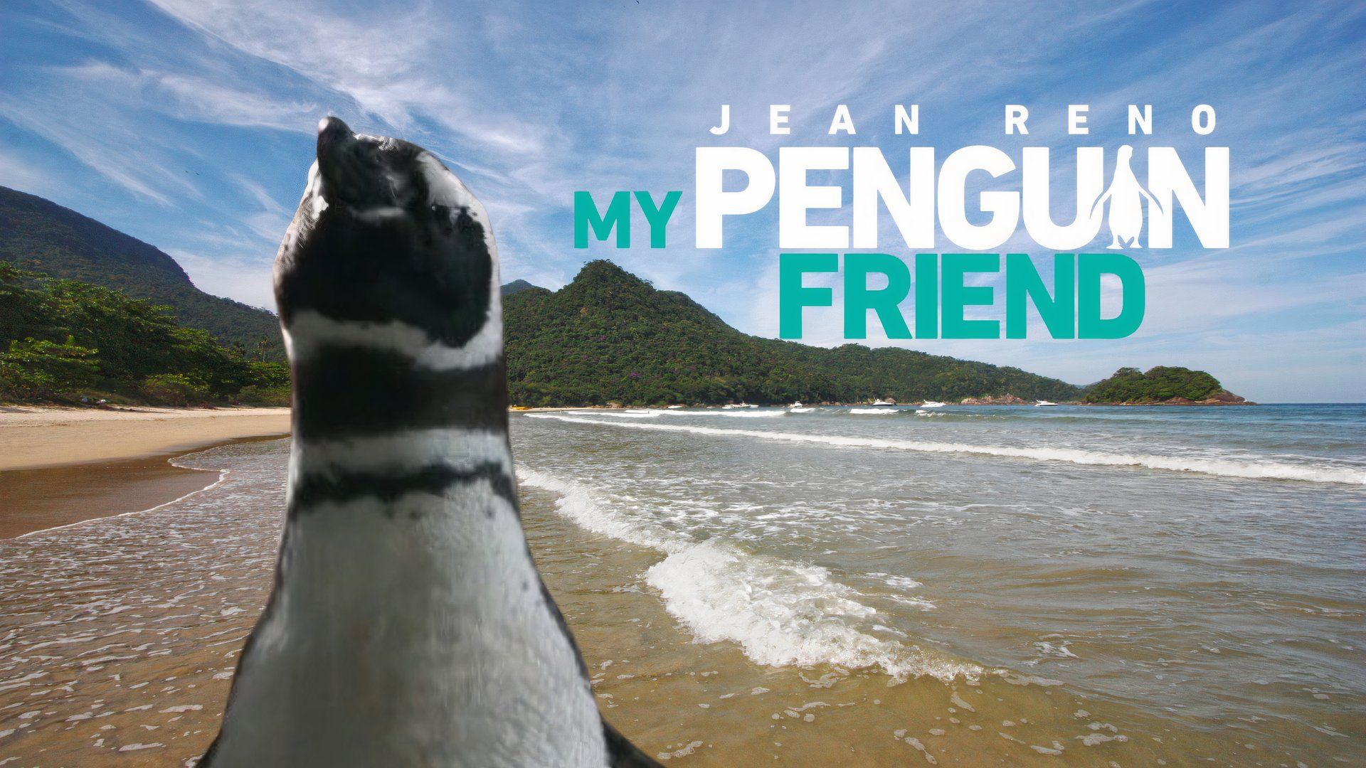My Penguin Friend Wallpapers - Wallpaper Cave