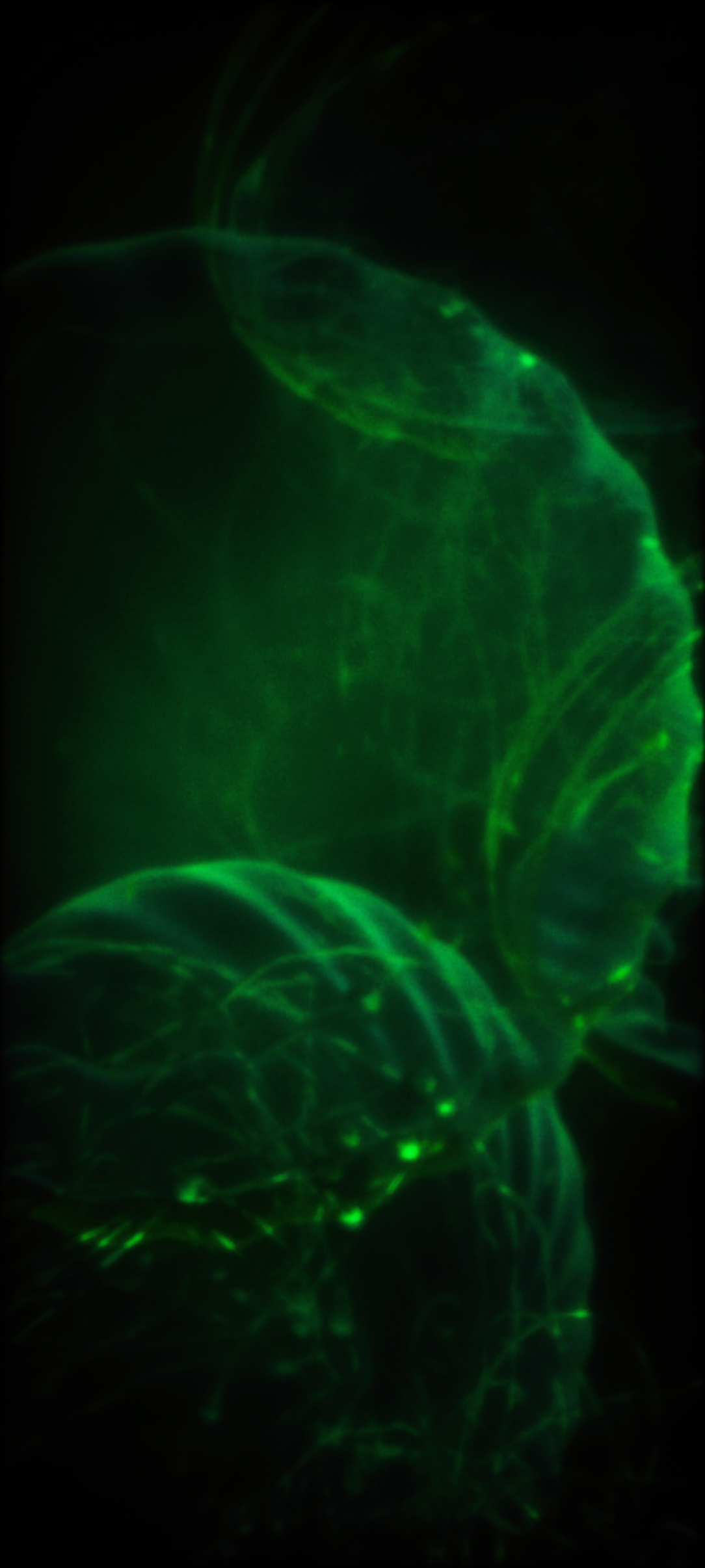 Interactivity Wallpapers - Wallpaper Cave