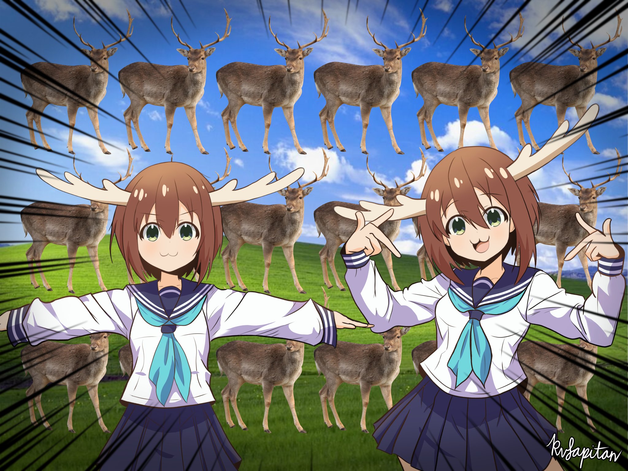 Shikanoko Nokonoko Koshitantan Wallpapers - Wallpaper Cave