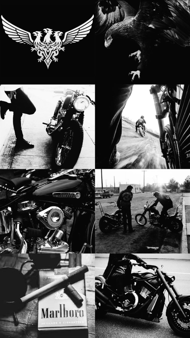 Sannoh Rengokai Wallpapers - Wallpaper Cave