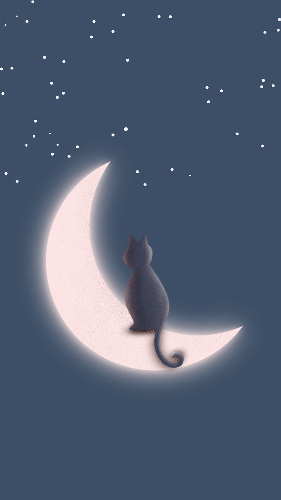 Cats Night Time Wallpapers - Wallpaper Cave
