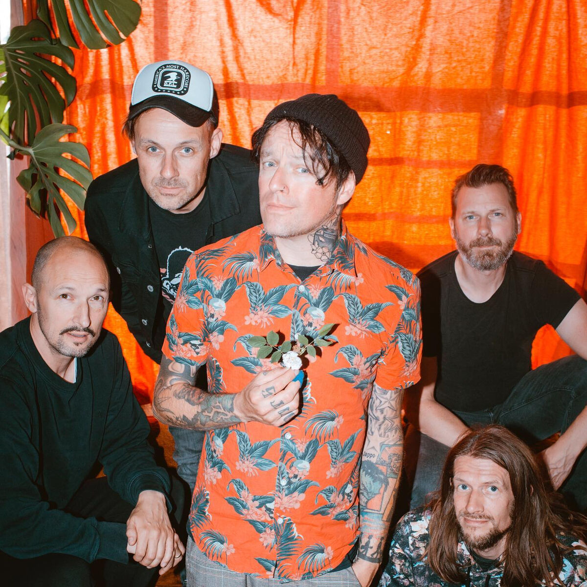 Donots Wallpapers - Wallpaper Cave