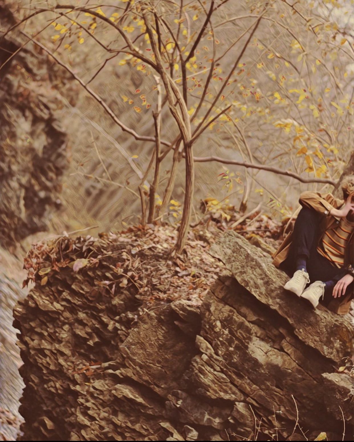 Brakence Wallpapers - Wallpaper Cave