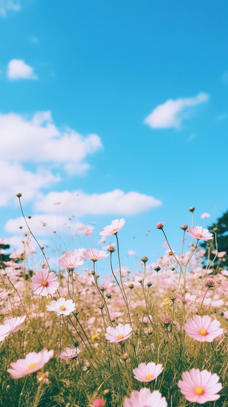 Outdoors Summers Wallpapers - Wallpaper Cave