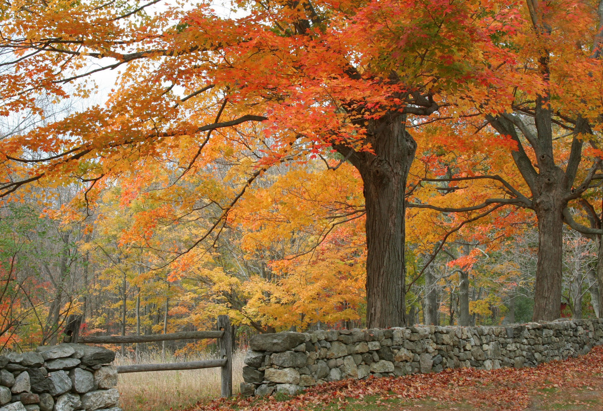 Autumn Stone Wallpapers - Wallpaper Cave